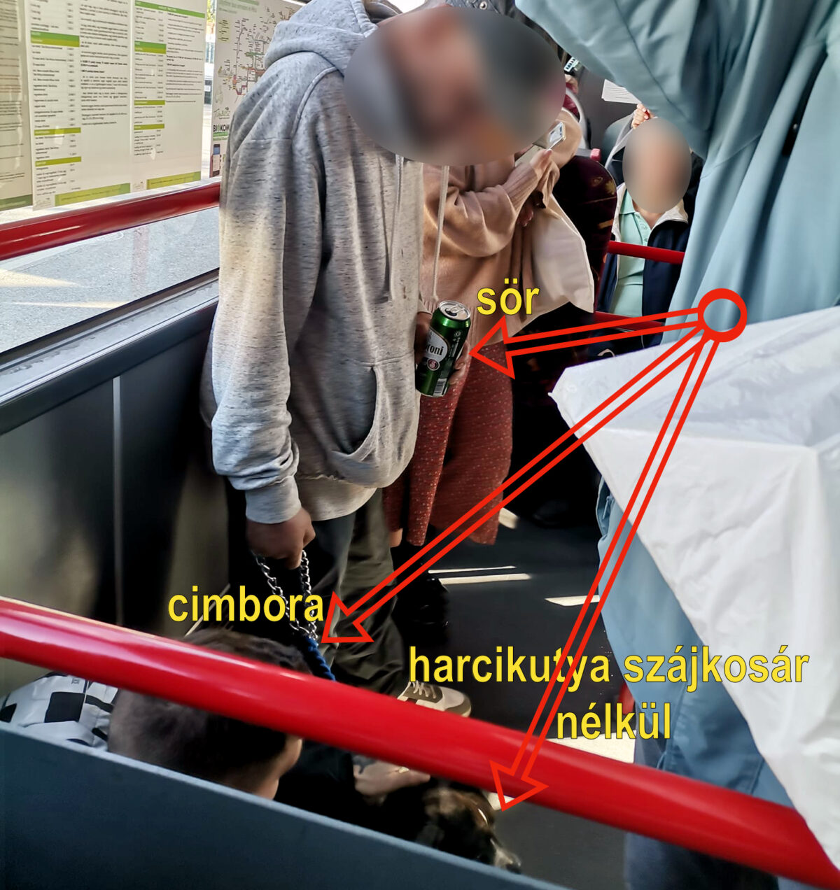 Kiakadtak az utasok: részegen, sörrel és harci kutyával utazott egy férfi a pécsi buszon | Pécs ...