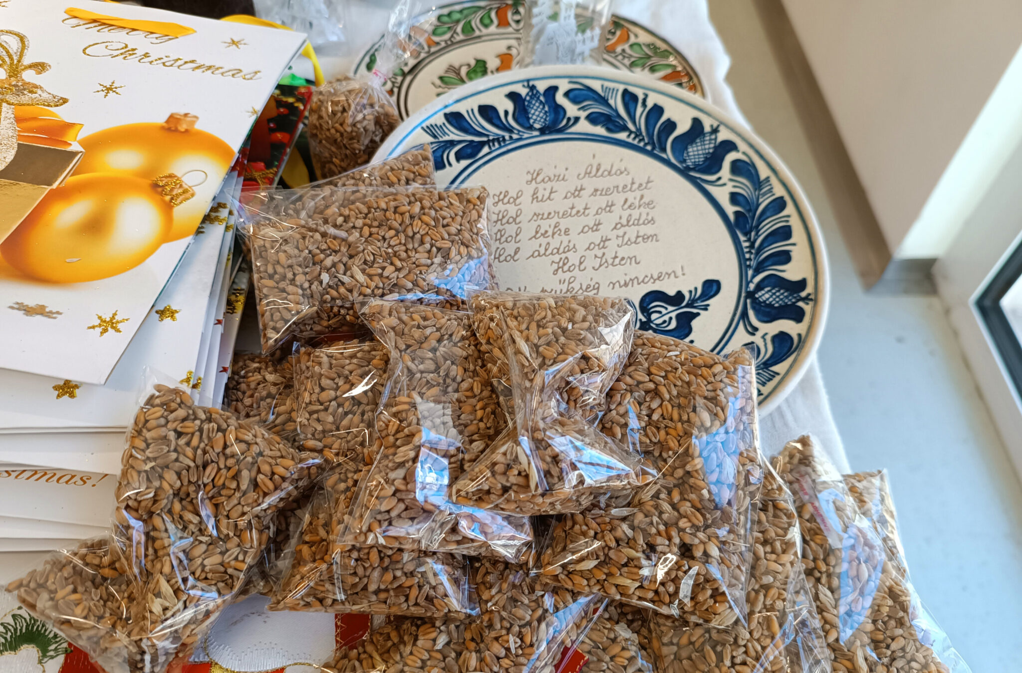 Így kell elültetni a Luca-napi búzát | Pécs Aktuál