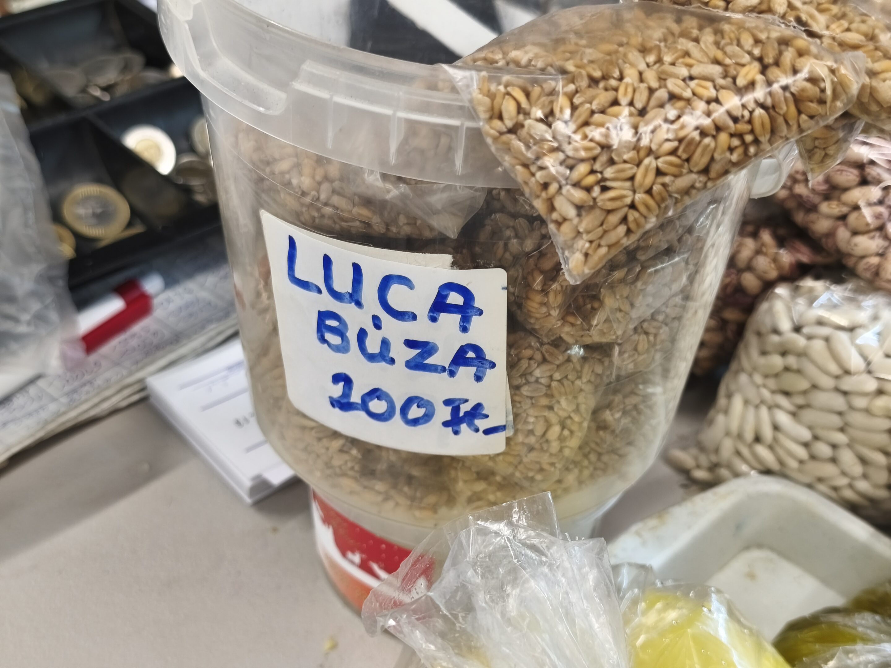 Elvetetted a Luca-napi búzát? | Pécs Aktuál